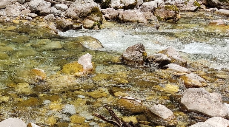 L'estabilitat de l'hàbitat aquàtic com a generador de la variabilitat ...